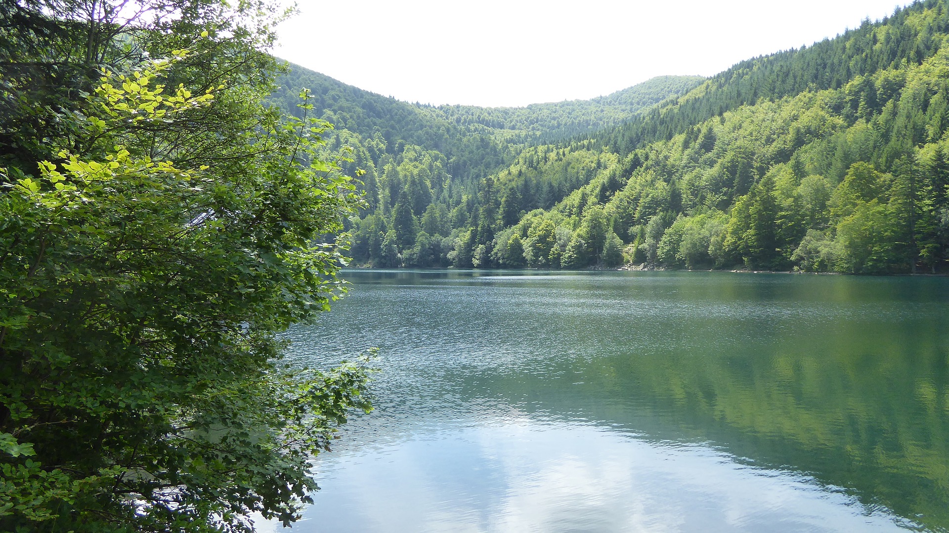 Lac de baignade en Alsace : 7 lacs à découvrir - Gites Dickely
